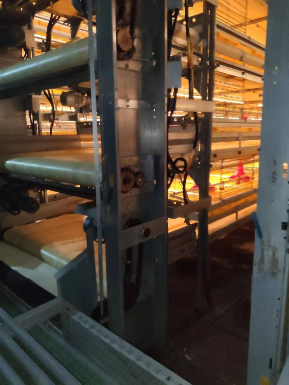 New Chain-type Harvesting Broiler Cage